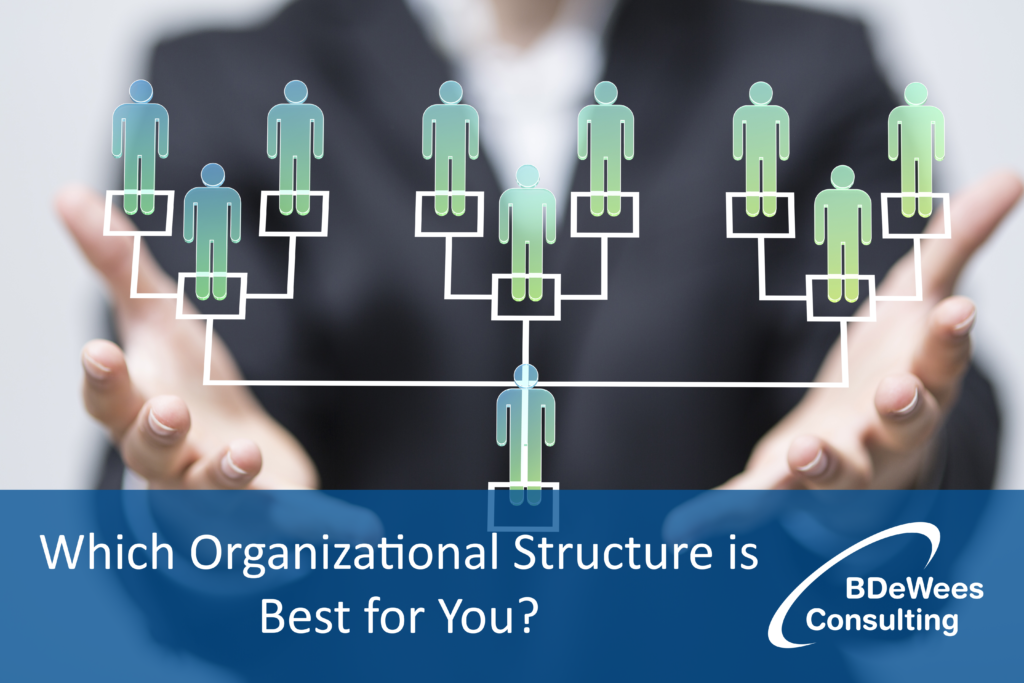 Which Organizational Structure is Best for You? | BDeWees Consulting